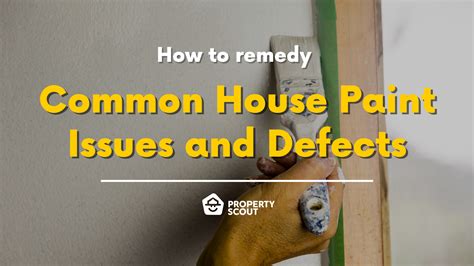 How To Remedy Common House Paint Issues And Defects