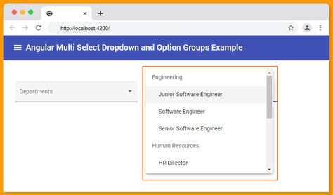 angular 11 multi select dropdown and option groups