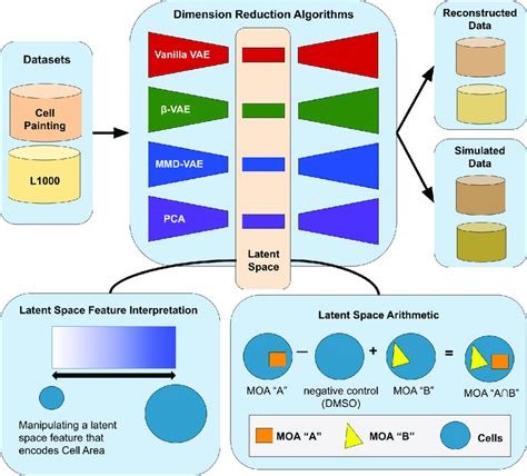our variational autoencoder vae implementation framework applied to download scientific