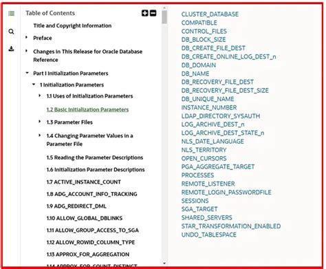 types of initialization parameters in oracle dot net tutorials