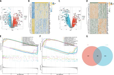 Screening Of DEGs Shared By IPF And LUAD A Volcano Plots Of DEGs In