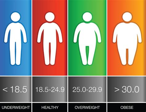 How To Calculate Your Bmi Scouterlife
