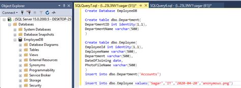Create An App Using Angular 10 NET Core Web API And SQL Server