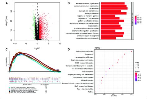 Functional Annotation And Pathway Enrichment Analysis Of Risk Groups
