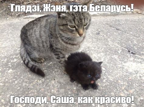 Мем Глядзі Жэня гэта Беларусь Господи Саша как красиво Все