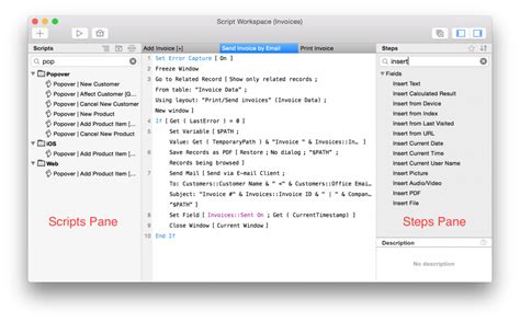 filemaker script workspace db services