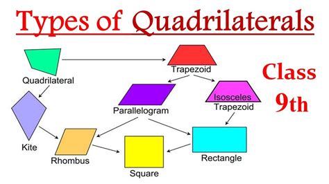 Quadrilaterals And Their Properties