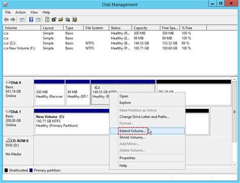 Resize Partition On Windows Server 2022 C D E F Drives Without Losing Data