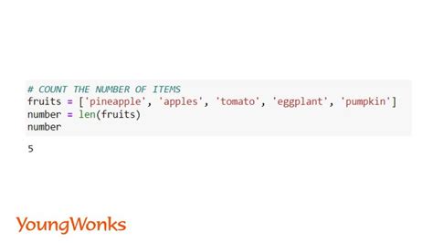 Python List Methods