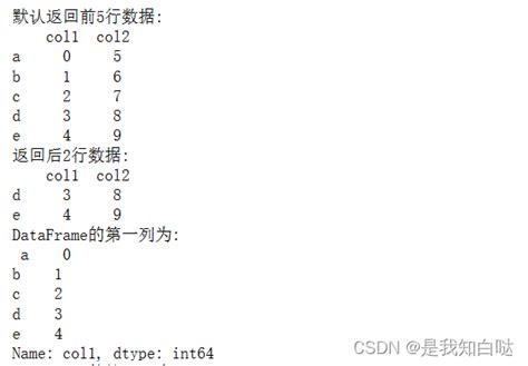 pandas两种基本数据结构：series和dataframe pandas series和dataframe csdn博客