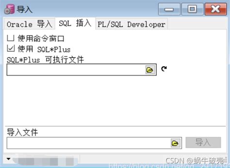 pl sql中导出整个表、表结构、部分数据、以及导入整个表 plsql导出表结构 王潮潮的博客 csdn博客