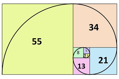 the fibonacci sequence is the 2 previous numbers added