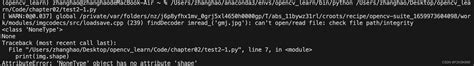 macbook vscode opencv：使用cv2 imread “xxx “ 报错：can‘t open read file check file path integrity