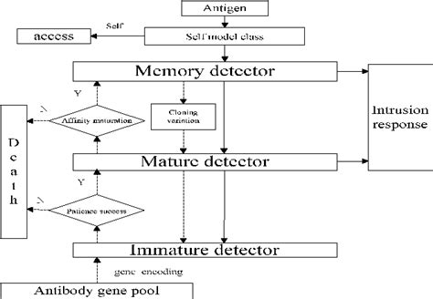 figure 1 from a dynamic intrusion detection model based on immunity for wireless sensor network