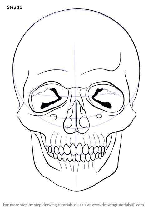 How To Draw A Skull Skulls Step By Step Skull Drawing Drawing