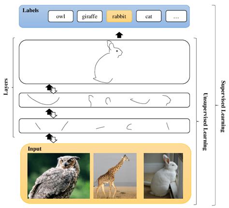 representing images on multiple layers of abstraction in deep learning download scientific
