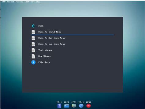 rmprepusb easy2boot and usb booting grubfm grub2 menus to install hot sex picture