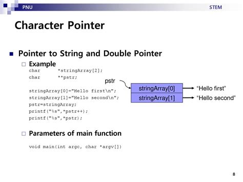 c programming review on c pointer and malloc ppt download