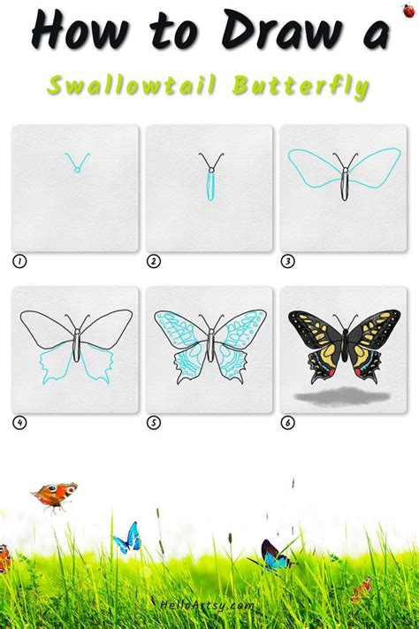 6 Steps Demonstrating How To Draw A Swallowtail Butterfly Drawing For