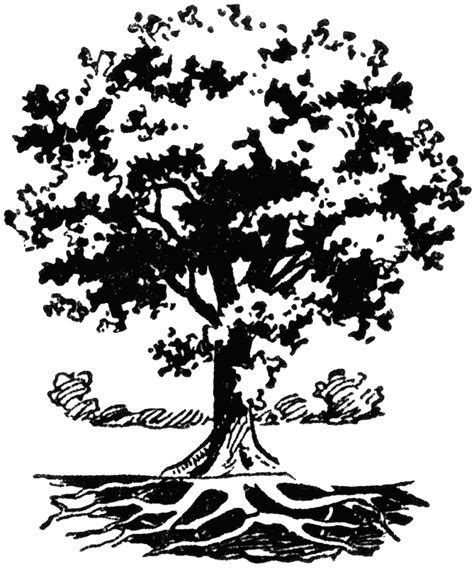Free Simple Tree Tree Branches Roots Clip Art Skeleton Clip Art