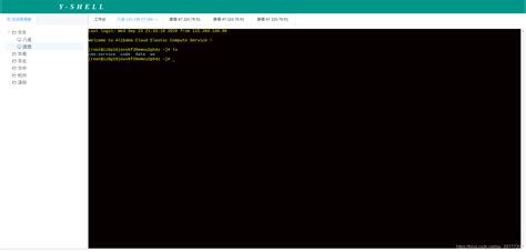 springboot xterm js vue websocket实现终端功能（y shell） springboot xterm js csdn博客