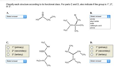 Solved Classify Each Structure According To Its Functional Chegg