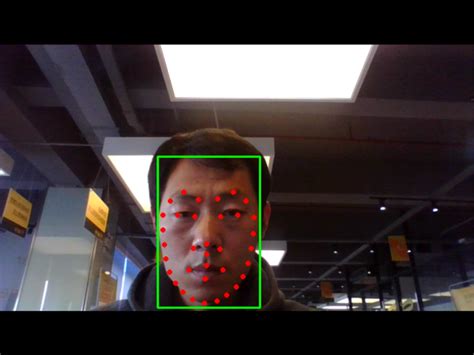 opencv openvino实现人脸landmarks实时检测 腾讯云开发者社区 腾讯云