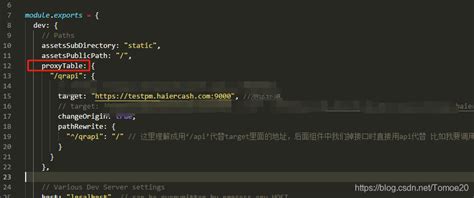 Vue Proxy Vue Js