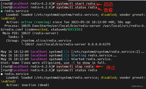 redis的安装和启动 redis下载及运行 csdn博客