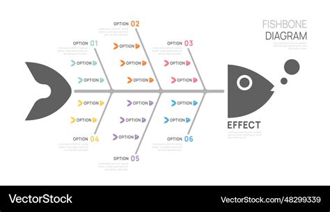 Fishbone Diagram Cause And Effect Template Vector Image