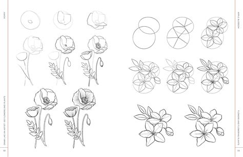 How To Draw A Realistic Flower Step By Step For Beginners
