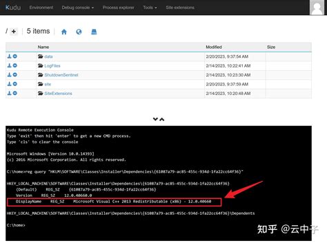 【azure 应用服务】azure app service windows 环境中如何让应用调用sap netweaver rfc函数 知乎