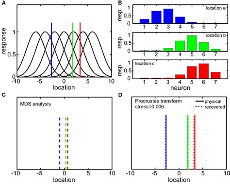 frontiers population coding of visual space comparison of spatial representations in dorsal