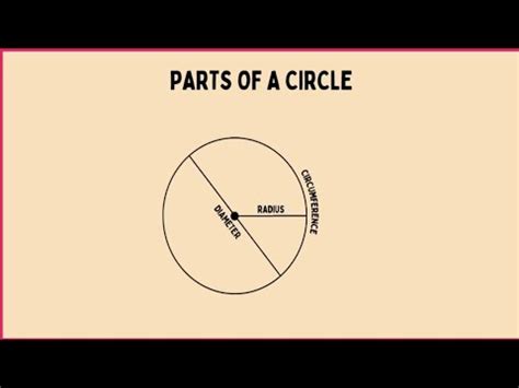 Parts Of A Circle Circle Parts YouTube
