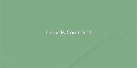 How To List Files In Linux Using The Ls Command Penetration Testing