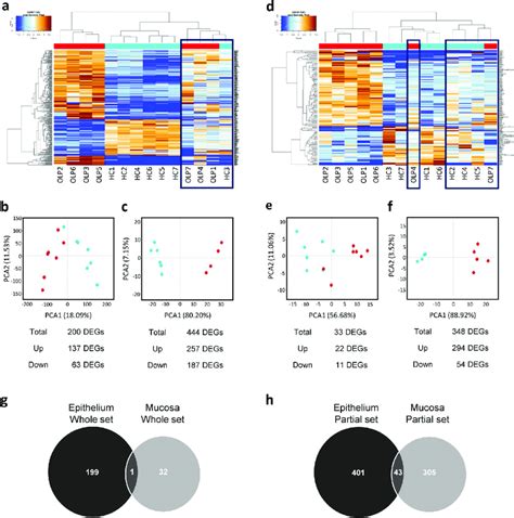 Differentially Expressed Gene DEG Analysis Using The Two Datasets