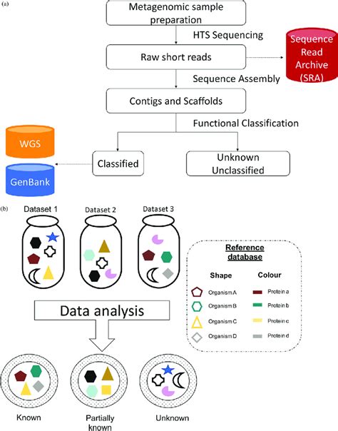 typical metagenomic analysis and data submission to public download scientific diagram