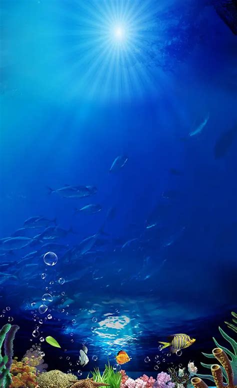 海底世界背景背景图片素材下载 图片编号ynzkzand 免抠素材网