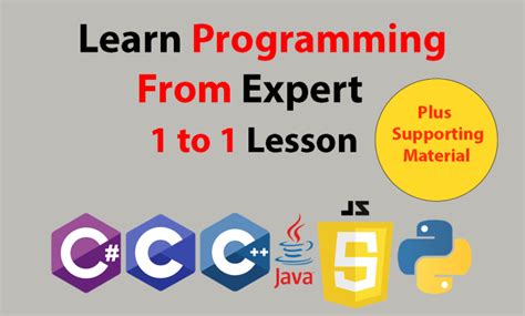 teach you c cpp c sharp java javascript and python to advance level by khuramshahzad03 fiverr