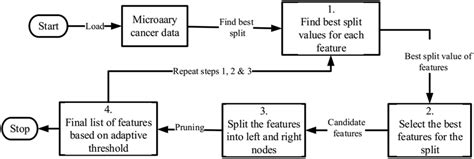 random forest tree‐based feature selection framework download scientific diagram