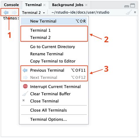 RStudio User Guide Terminal