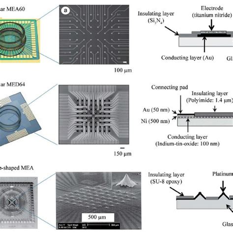 planar multi electrode array recording setups download table