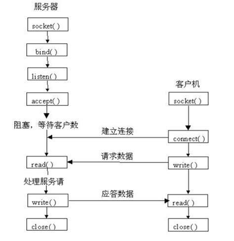linux网络编程 client server基础架构 框架设计思路 linux client csdn博客