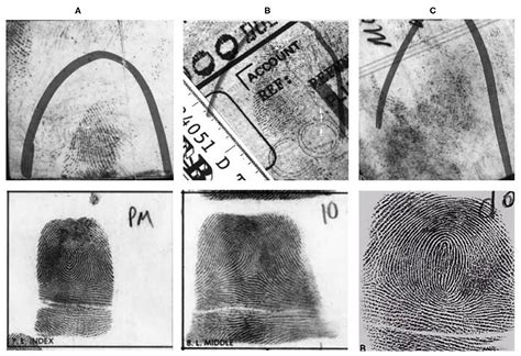 frontiers end to end automated latent fingerprint identification with improved dcnn fft