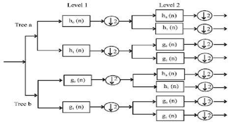 dual tree complex wavelet transform filter bank [17] download scientific diagram