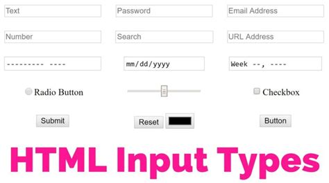 Mastering HTML Forms A Comprehensive Guide To 18 Input Types