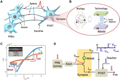 learning of spatiotemporal patterns in a spiking neural network with resistive switching