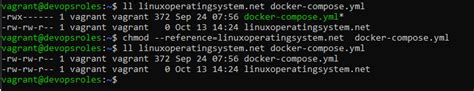 Mastering The Chmod Command In Linux Linux Expert Better