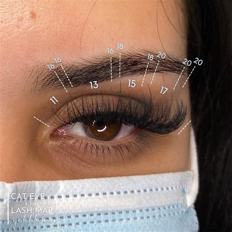 Wispy Cat Eye Lash Map