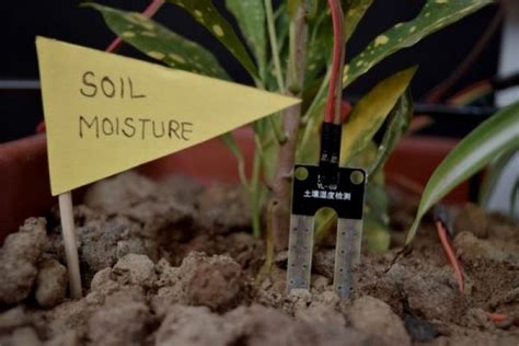 How Does A Soil Moisture Sensor Work Guide Urban Farm Online